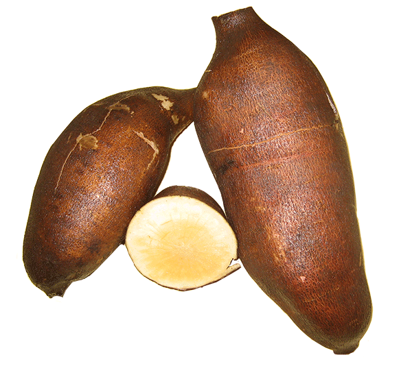 A winter treat – Peruvian ground apple – Green Harvest