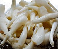 Rakkyo Onion Growing Information – Green Harvest