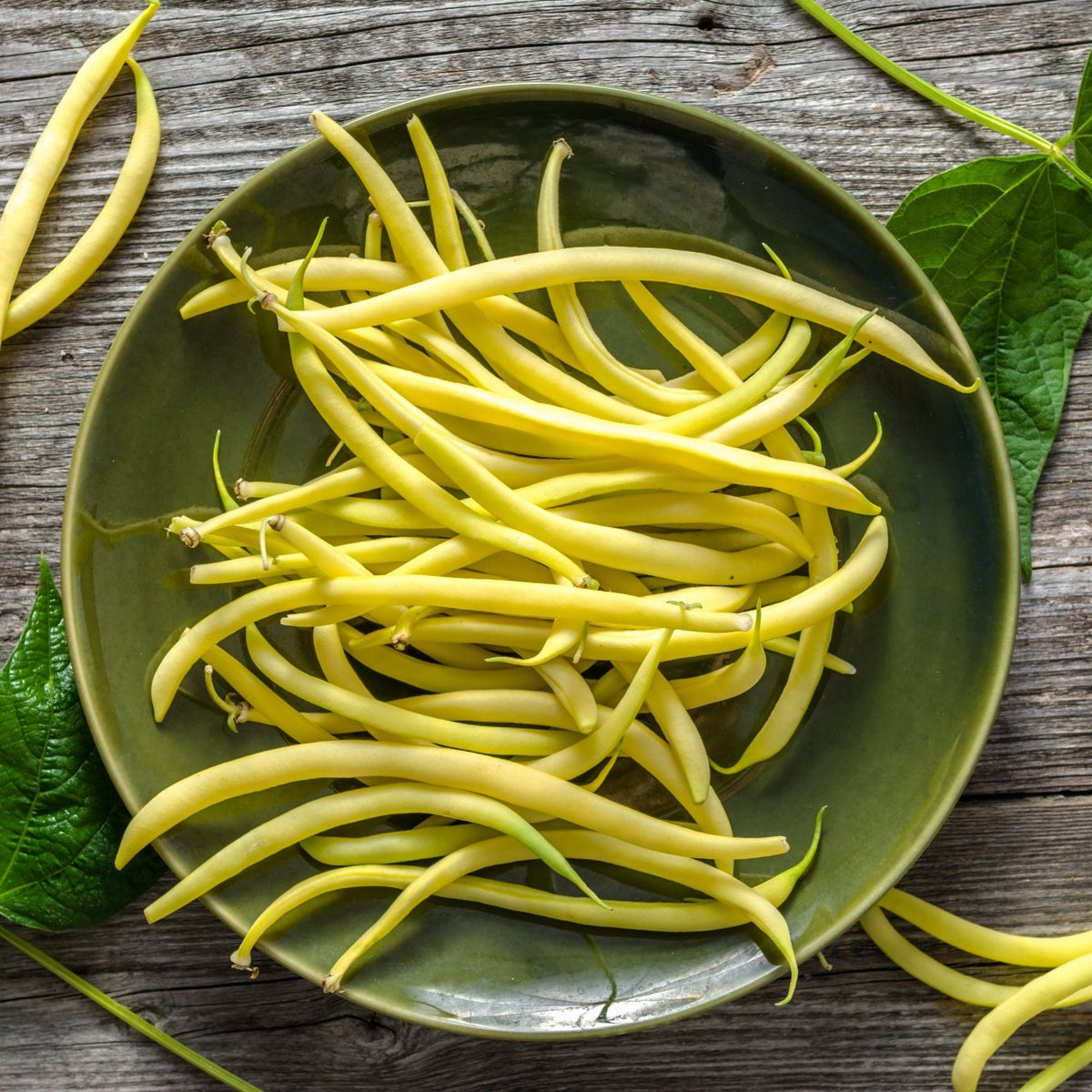 Beans – Green Harvest