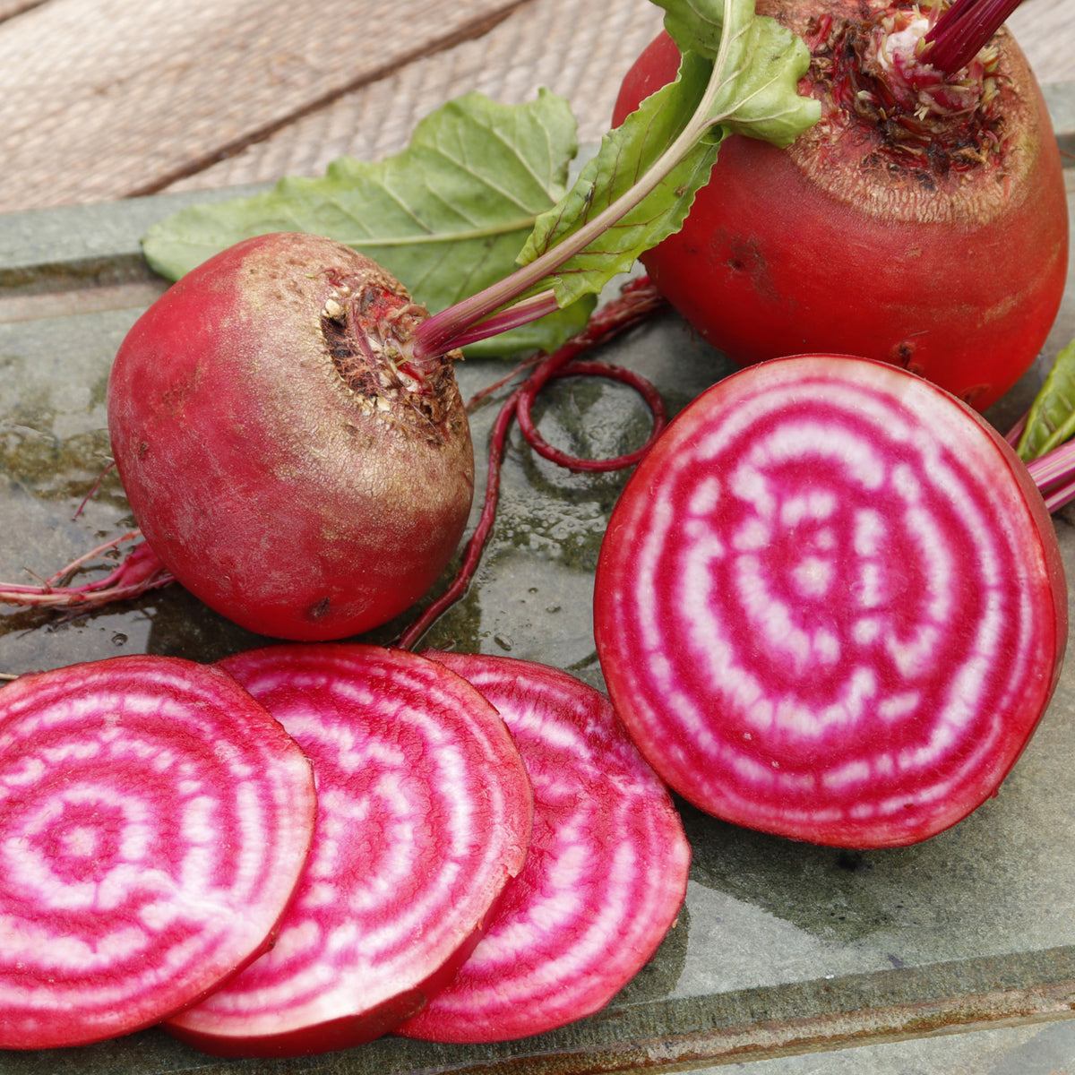 Beetroot 'Chioggia' – Green Harvest