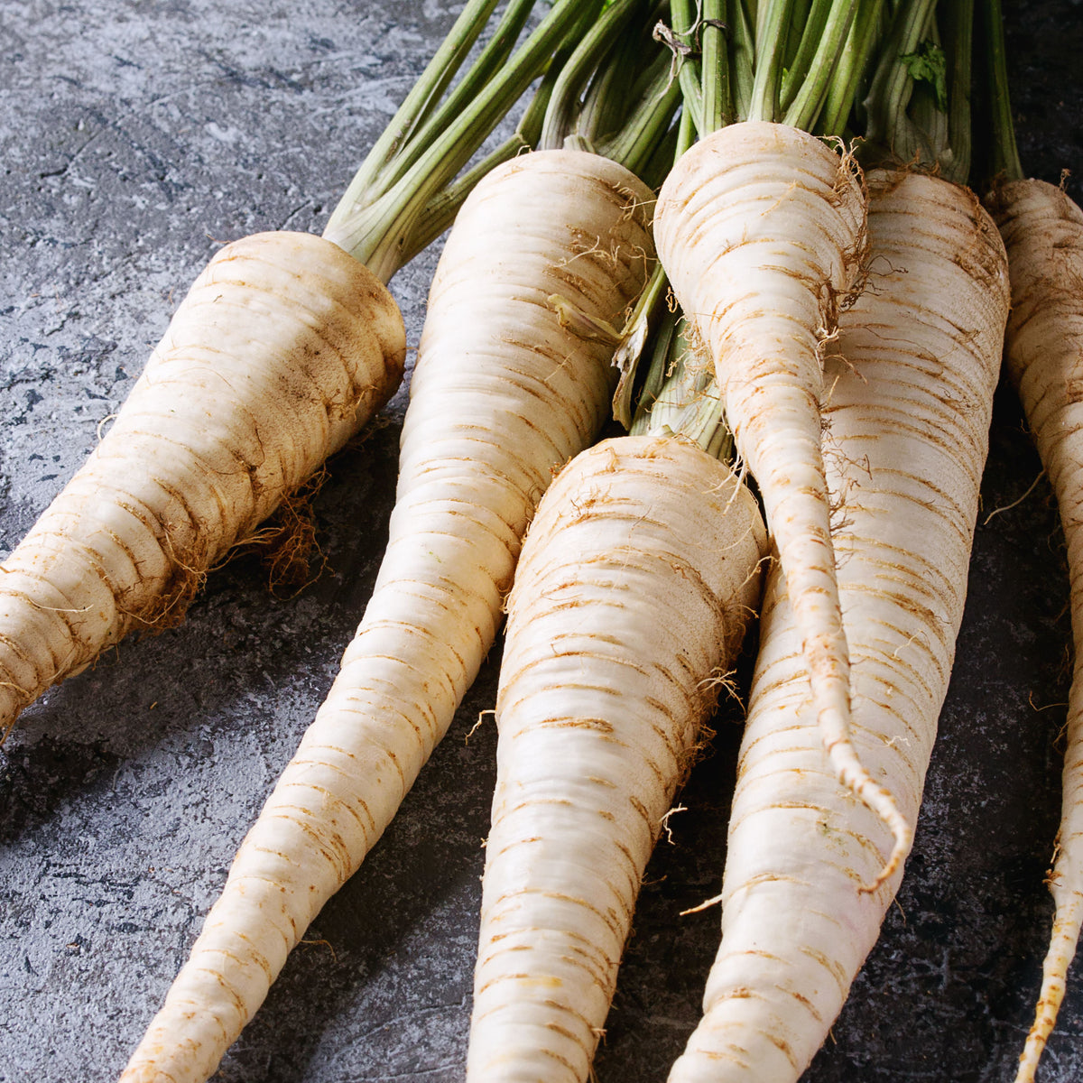 Parsnip 'Melbourne Whiteskin' – Green Harvest